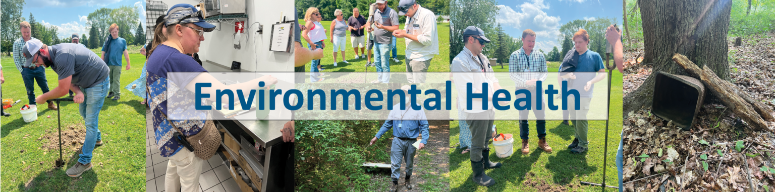 Environmental Services